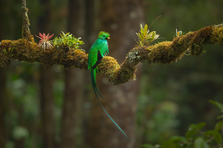 A Beginner’s Guide to Birdwatching: Tips for Spotting Rare Species ...